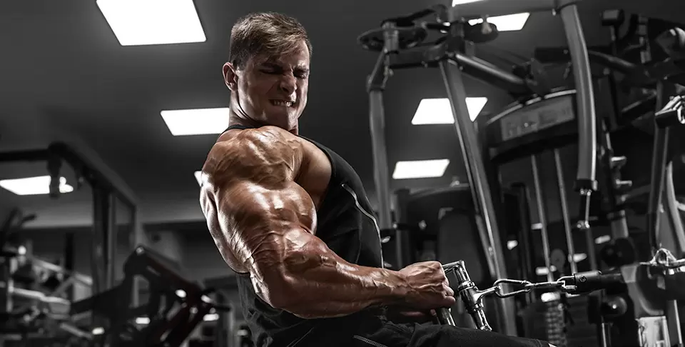 Trenbolone Explained: Benefits, Risks & Legal Alternatives